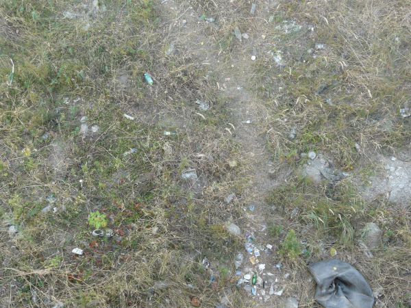 thin dried grass texture 0021 - Texturelib